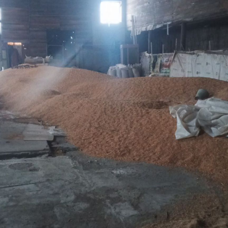 Кукуруза, горох, отруби