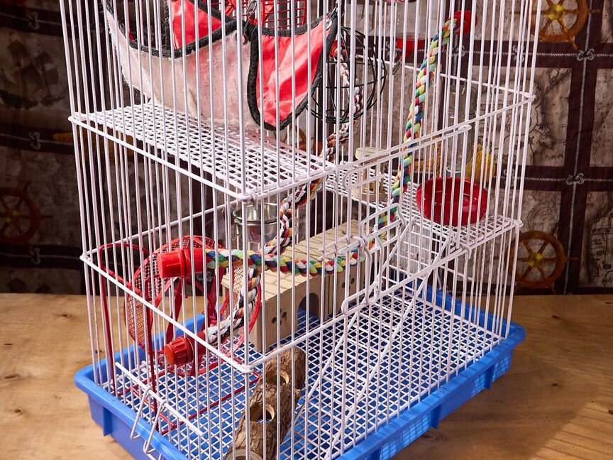 Клетка для шиншилл хорька крыс дегу