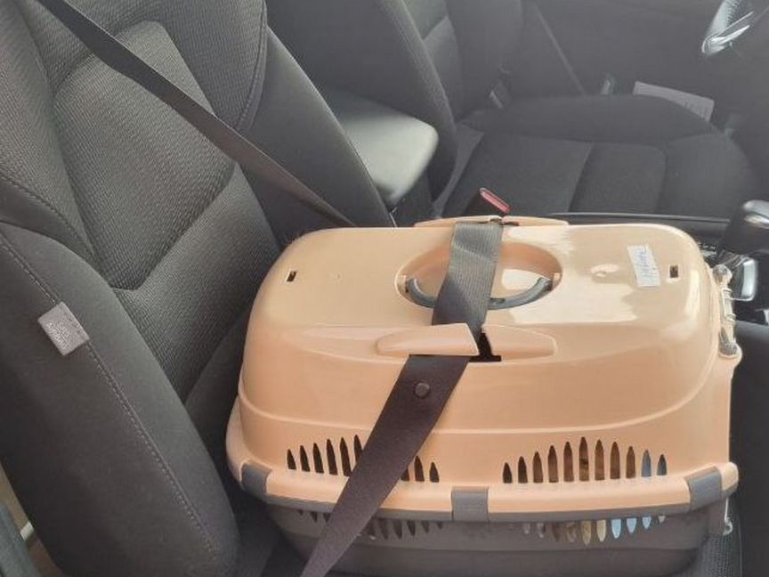 Переноска для кошек