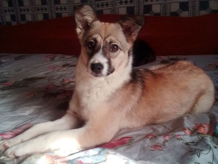 Милая Ясмин ищет свою семью