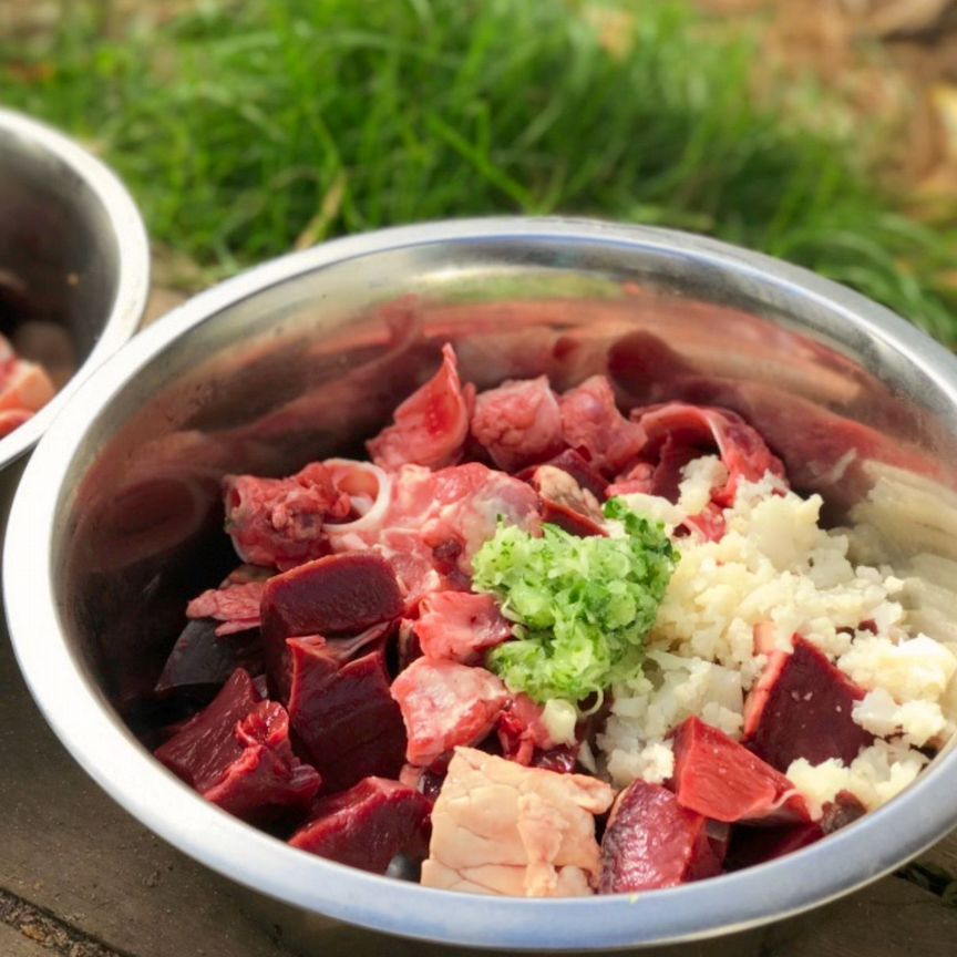 Натуральное питание для собак. Дневной рацион