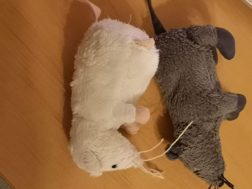 Мышки