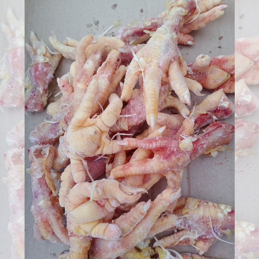 Лапы куринные