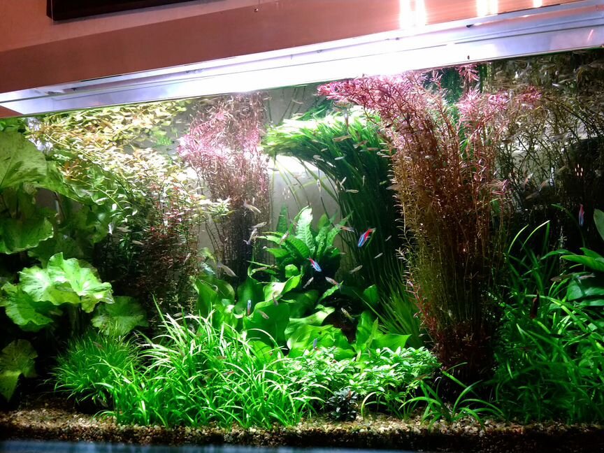 Фильтры. Наполнитель. Грунт