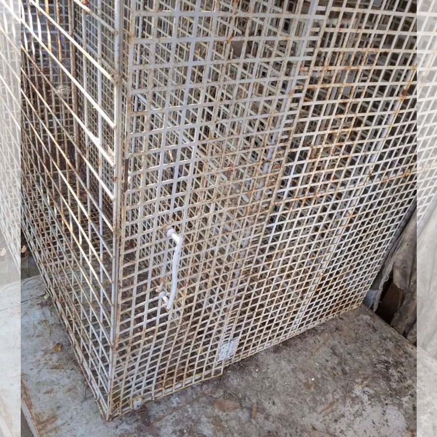 Клетка для дэгу,белок или хорька