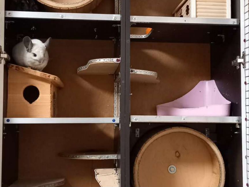 Клетка-витрина для шиншилл и дегу