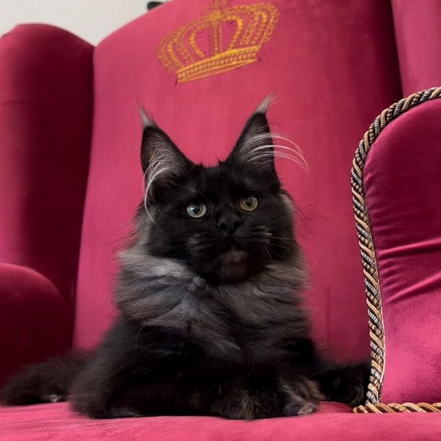 Мейкун вязка