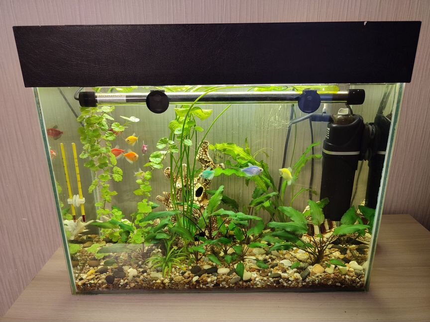 Аквариум на 40 литров