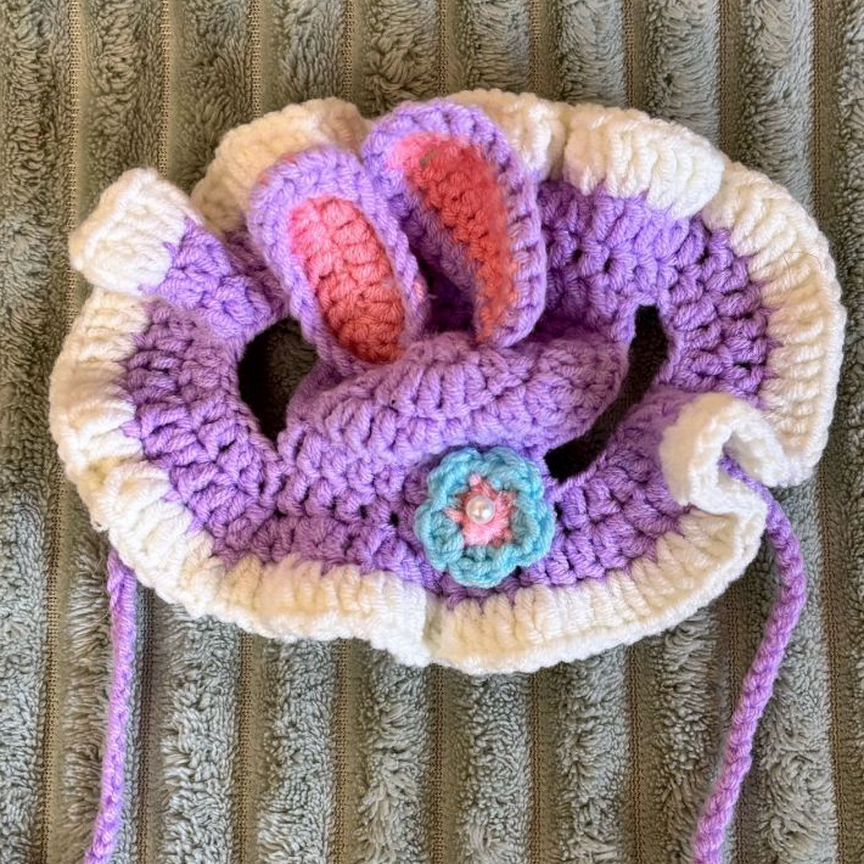 Шапка для животных