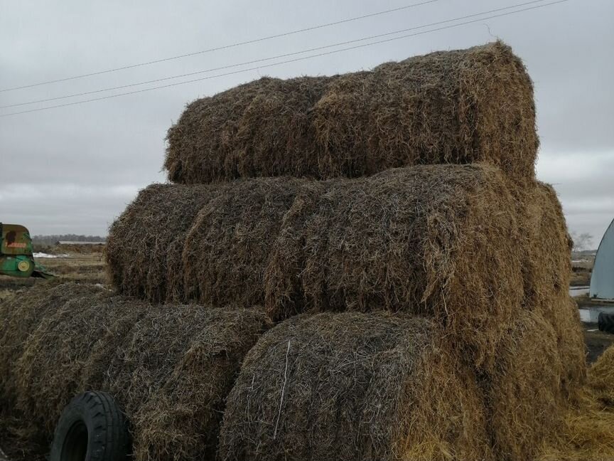 Продам сено и солому в рулонах