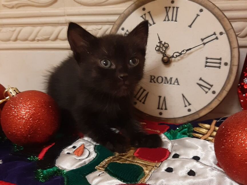 Малыши - подарочки