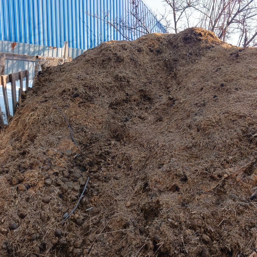 Навоз лошадиный перегной