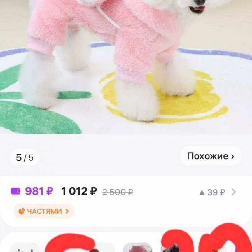 Вещи для маленьких собак