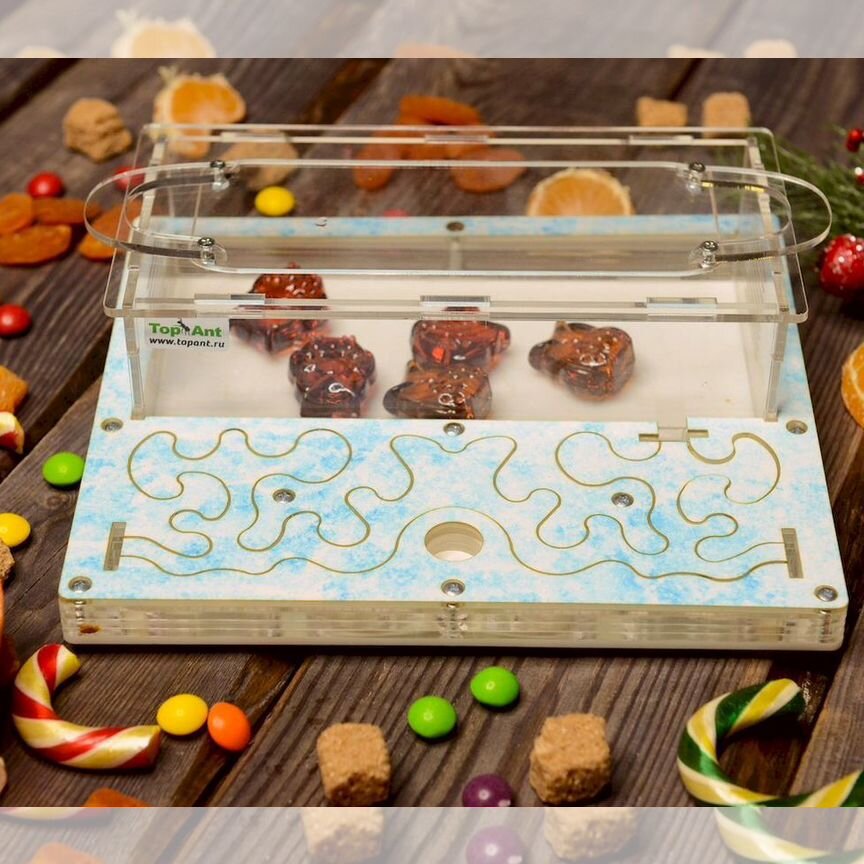 Формикарий/ Подарок для ребенка/ Муравьиная ферма