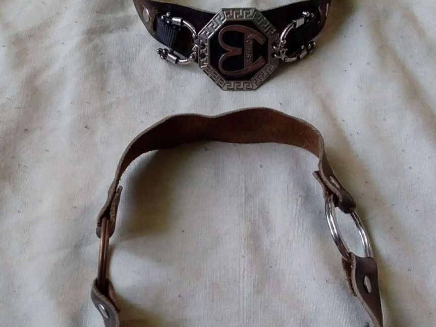 Ошейники, шлейка, поводок