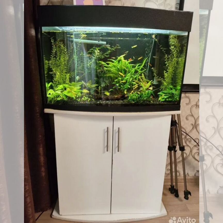 Аквариум с тумбой белый