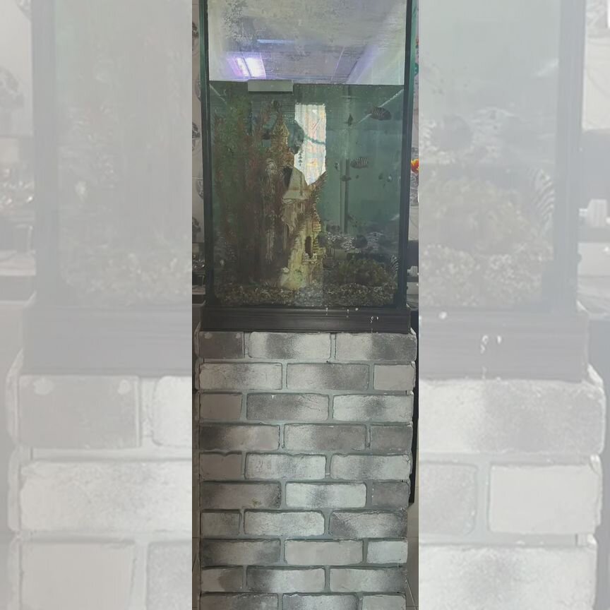 Аквариум с подставкой