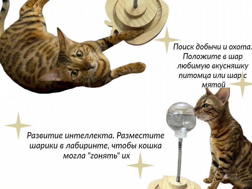 Игрушка-дразнилка для кошек