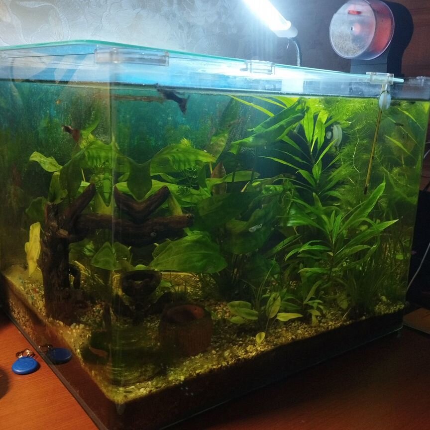 Немецкий аквариум 55л Dennerle Nano Scapers Tank 5