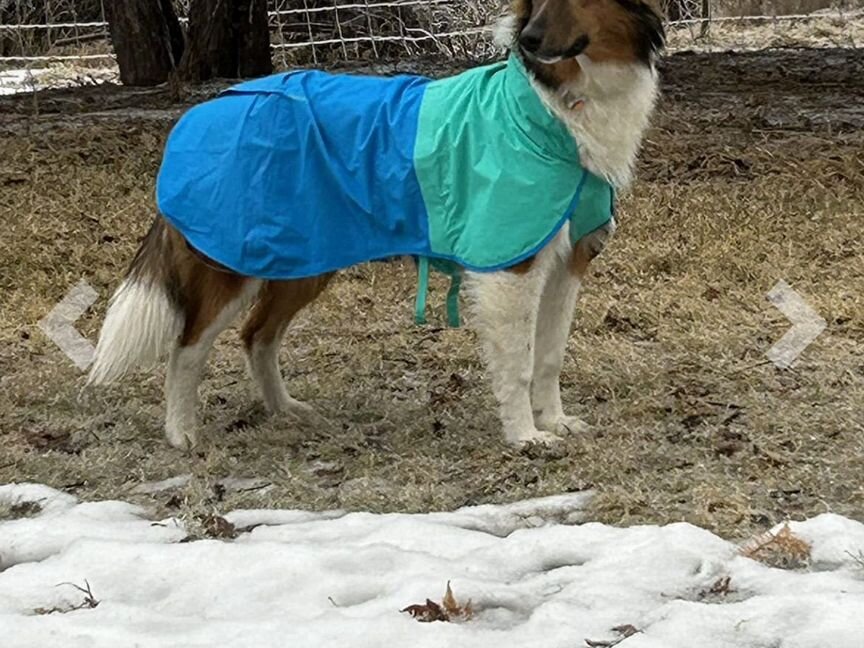 Дождевик Ruffwear S