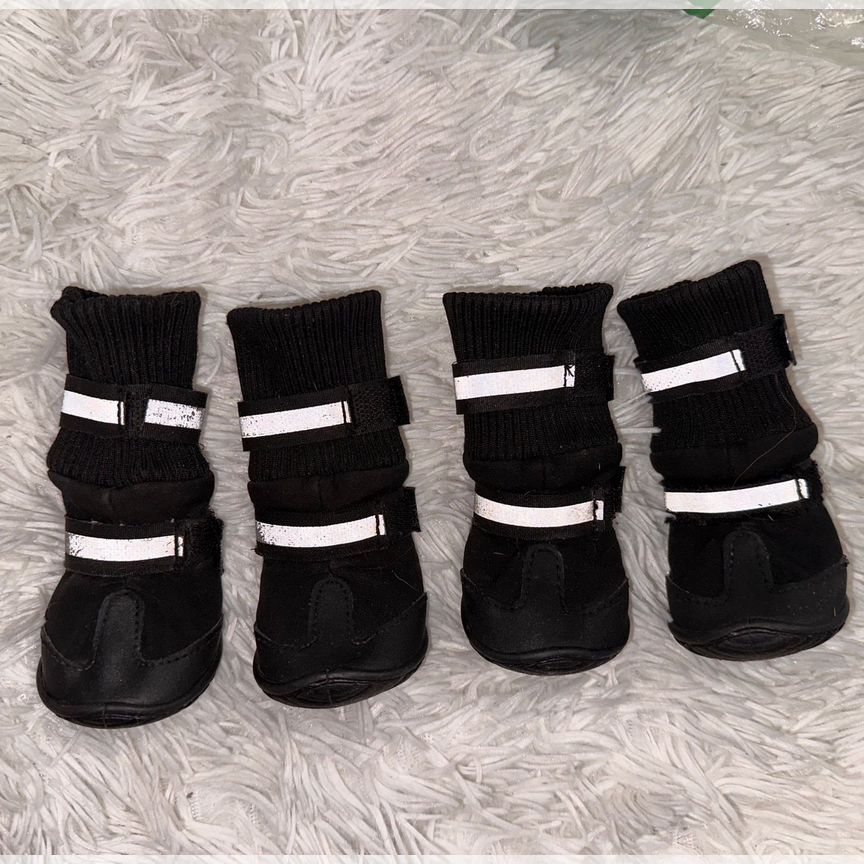 Ботинки, обувь для собак