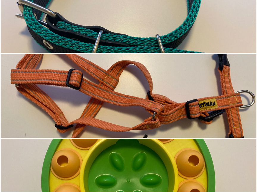 Товары для собак