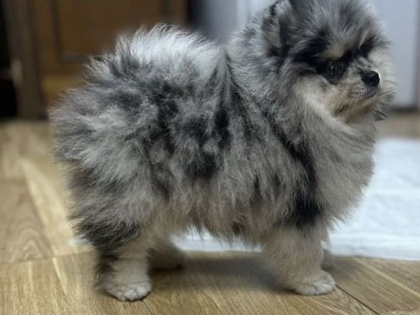 Мраморная девочка