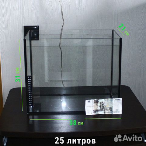 Аквариум 25 литров купить в Санкт-Петербурге | Животные и зоотовары | Авито