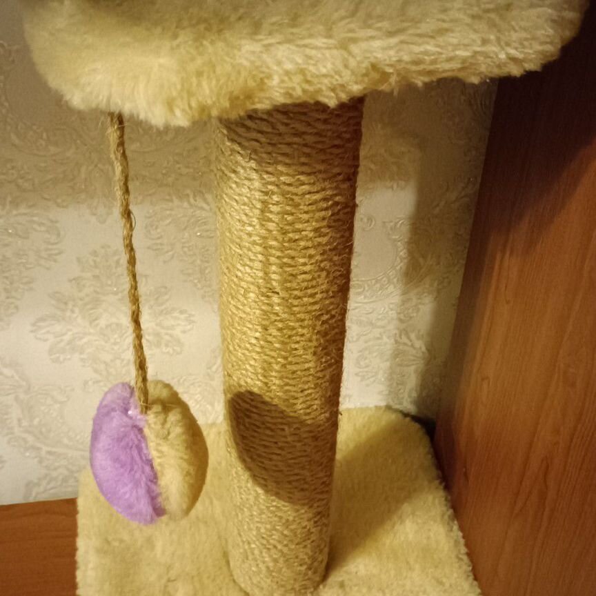 Когтеточка