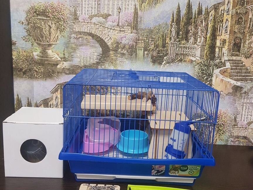 Клетка для джунгарского хомяка