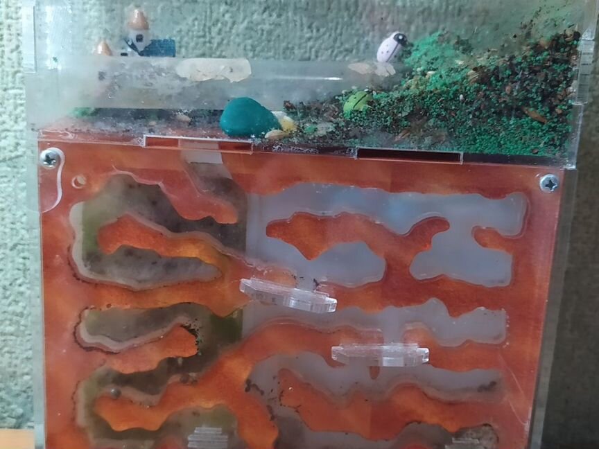 Домик для муравьев