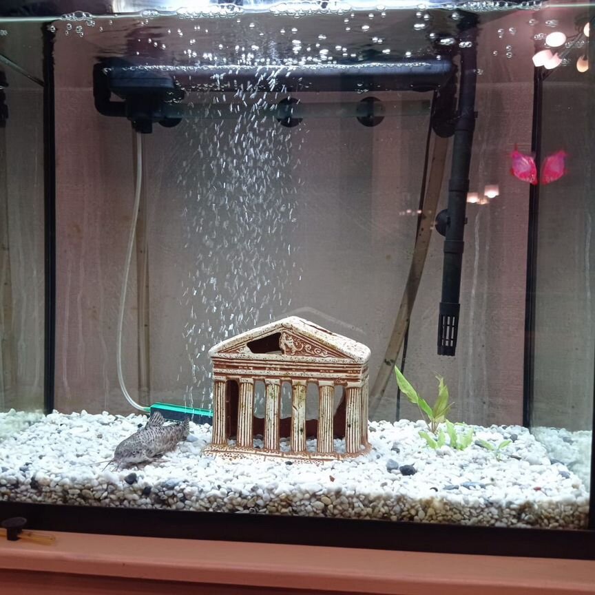 Аквариум 90л с тумбой и внешним фильтром