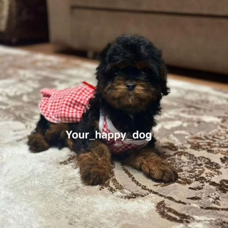 Красивые Детки