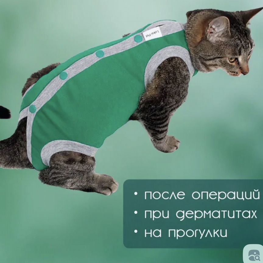 Попона послеоперационная для кошек