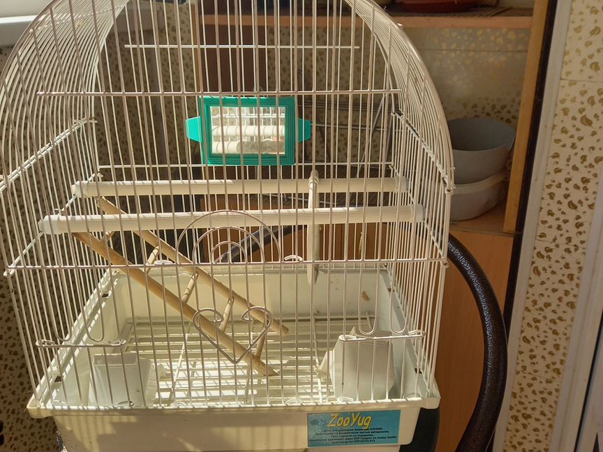 Товары для животных