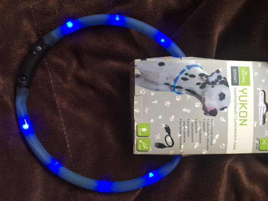 Светящийся ошейник, кольцо, hunter