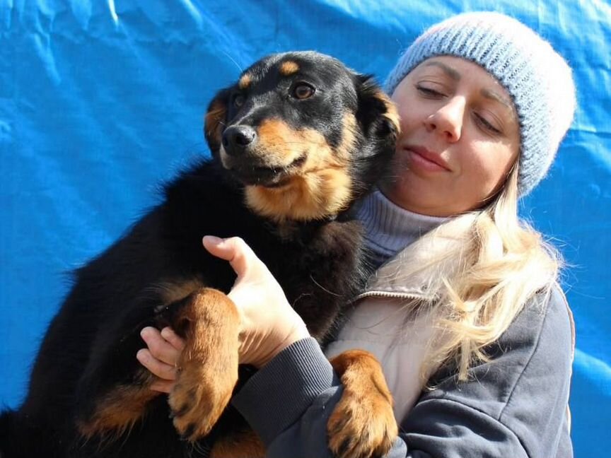 Бона- малышка из приюта ищет дом