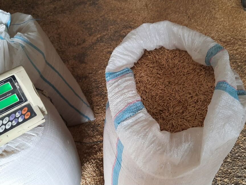 Продам овес, с. Майское