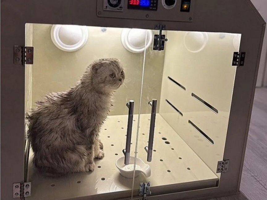 Сушильная камера для животных (новая)