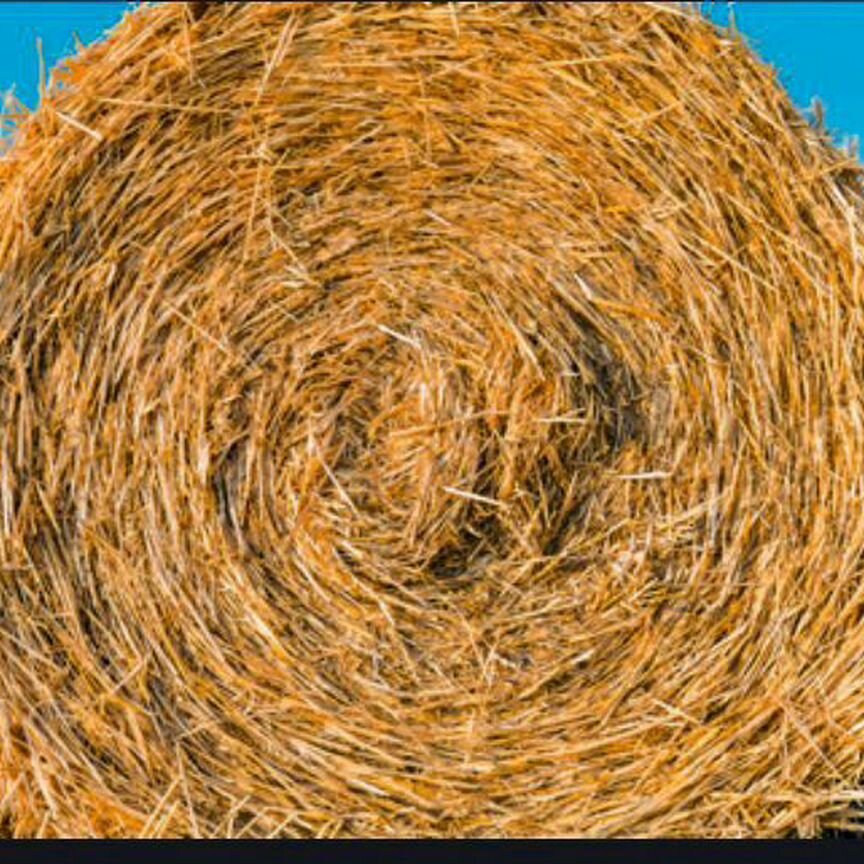 Сено в тюках
