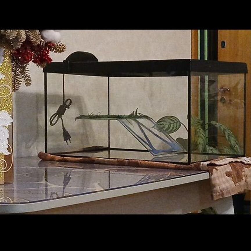 Аквариум для черепах 50 литров