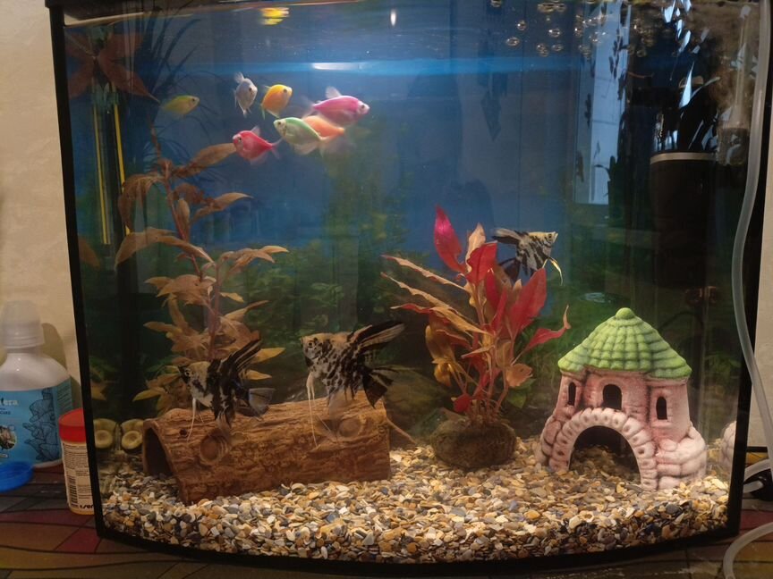 Аквариум с рыбками 30 литров
