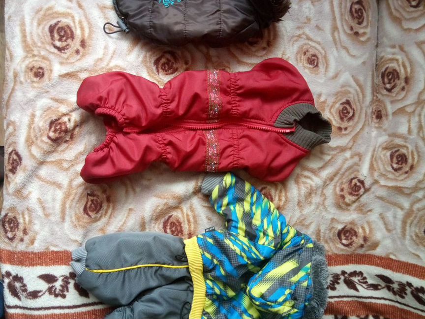 Одежда для маленькой собачки