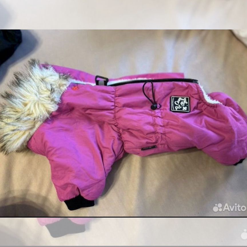 Одежда для собак мелких пород девочка