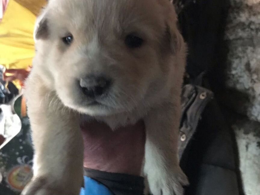 Пожалуйста помоги нам