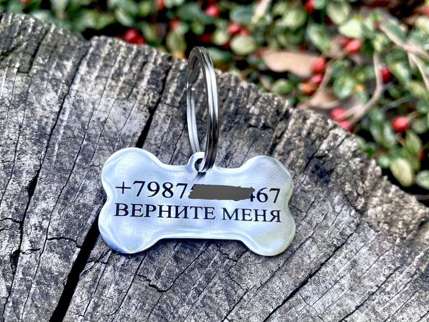 Адресники и именники для собак с гравировко