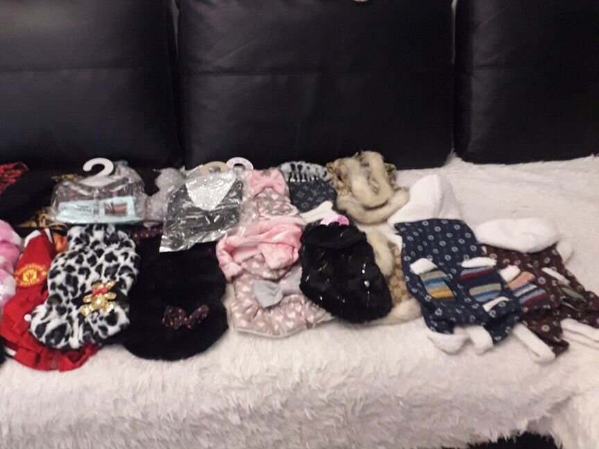 Одежда для маленькой собачки