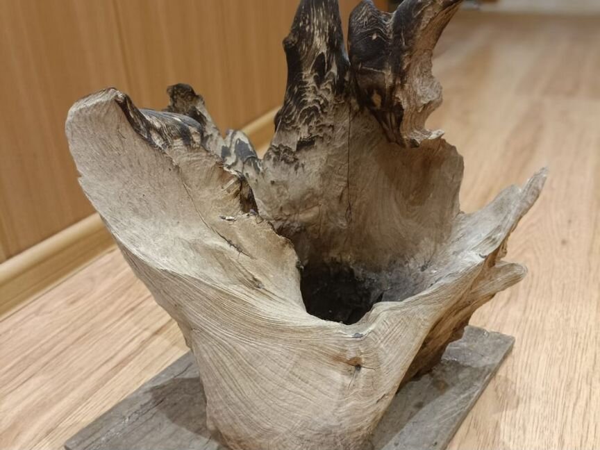 Большая коряга Мопани для аквариума, акватерариума