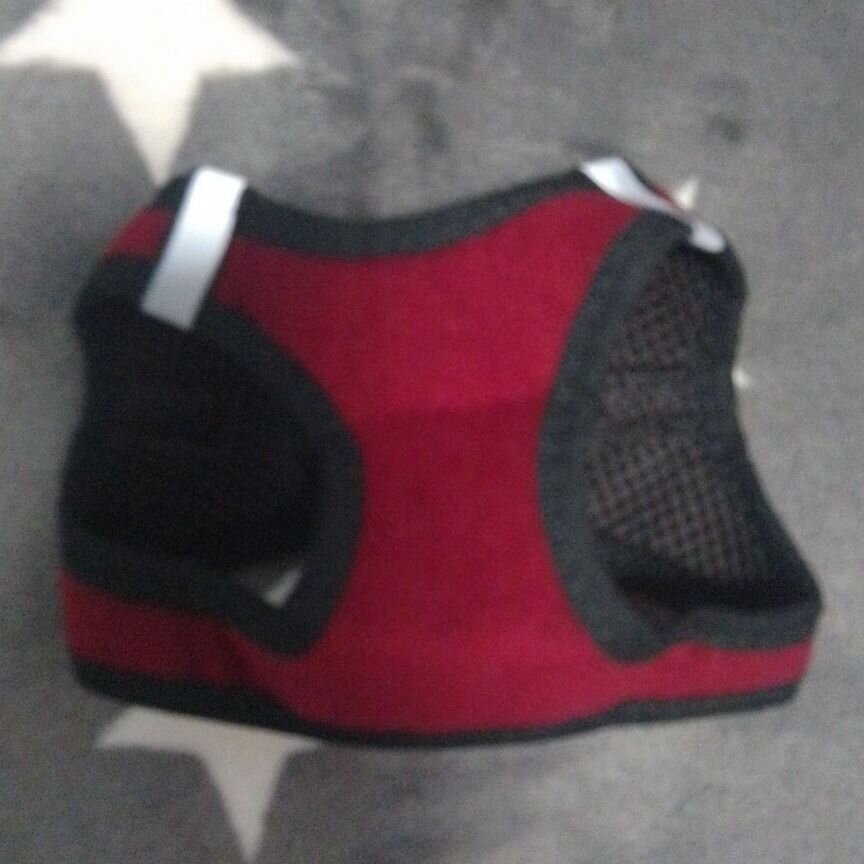 Шлейка для кошки