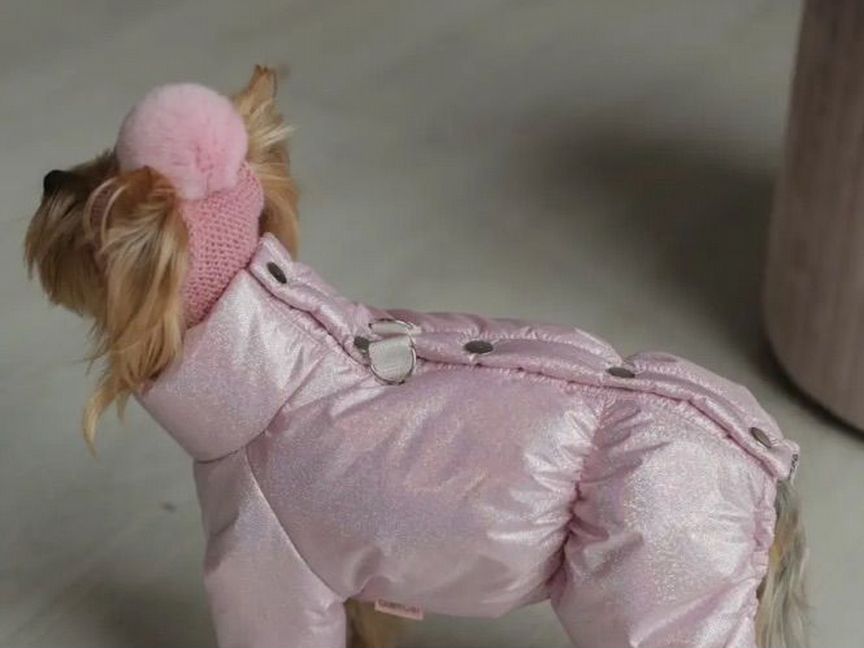 Комбинезон для маленькой собаки